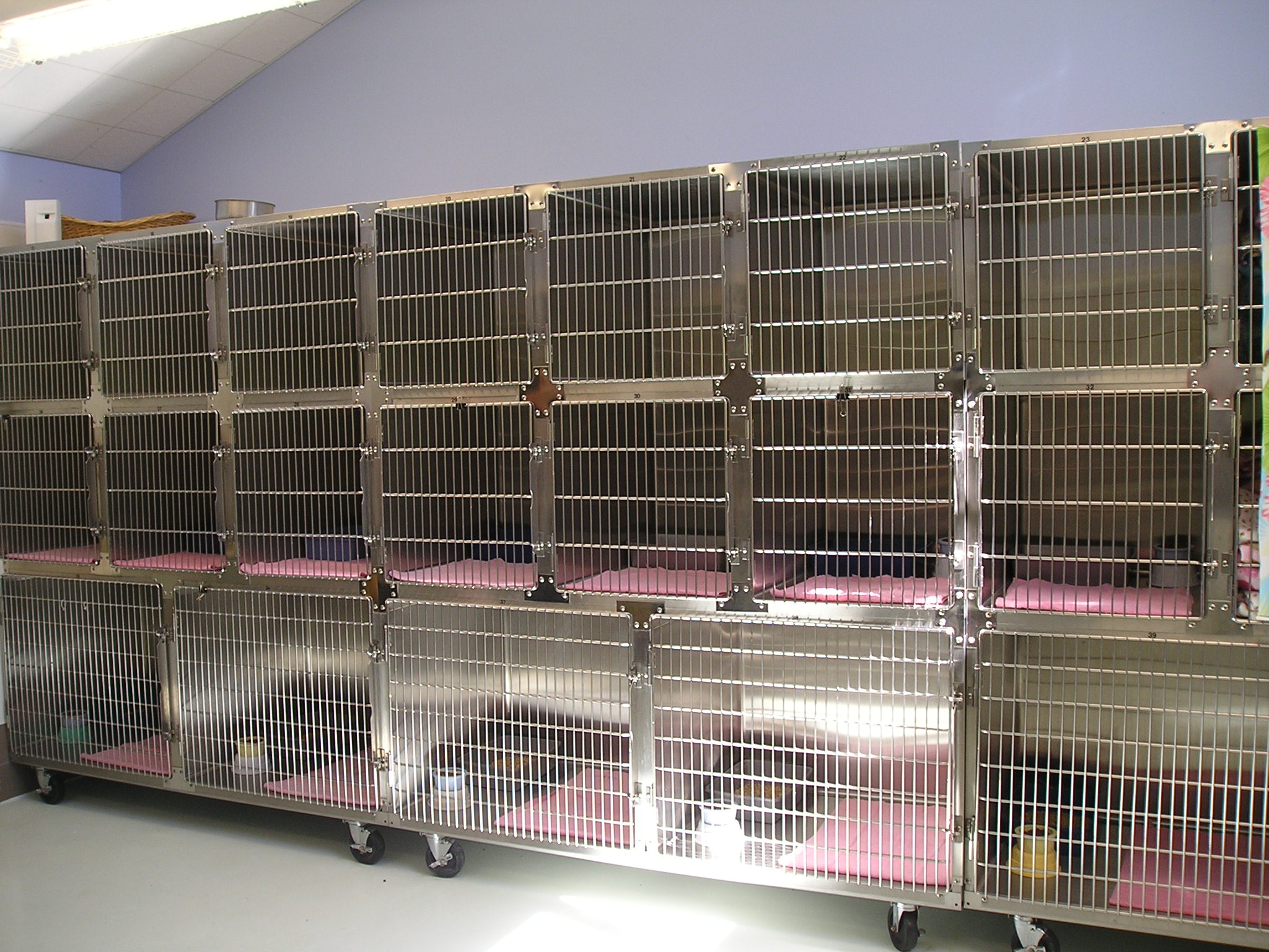 The Empty Cages – Nathan J. Winograd